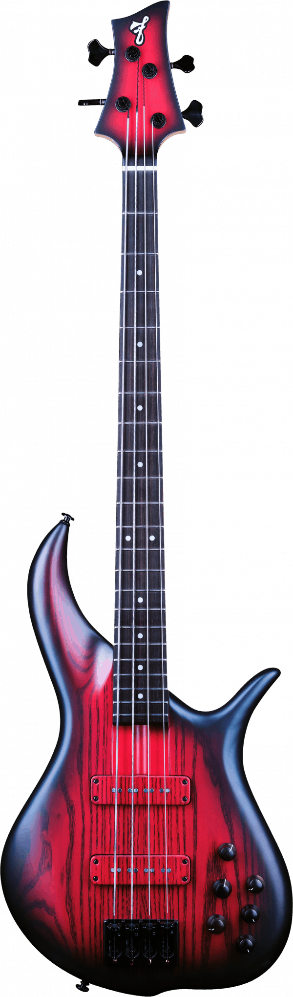 F Bass | Bass Buddha