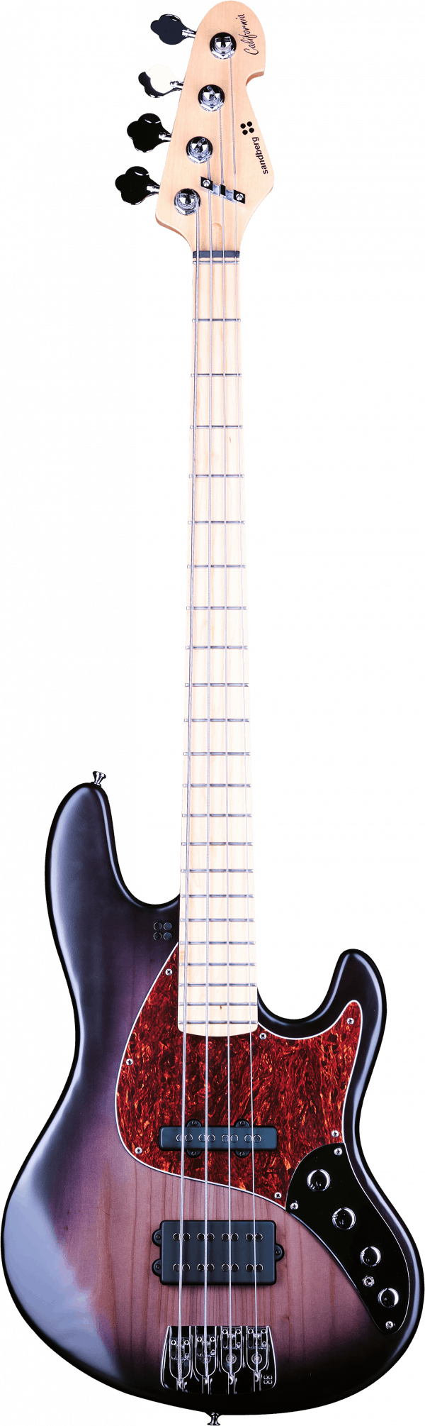 Sandberg Basses | Bass Buddha